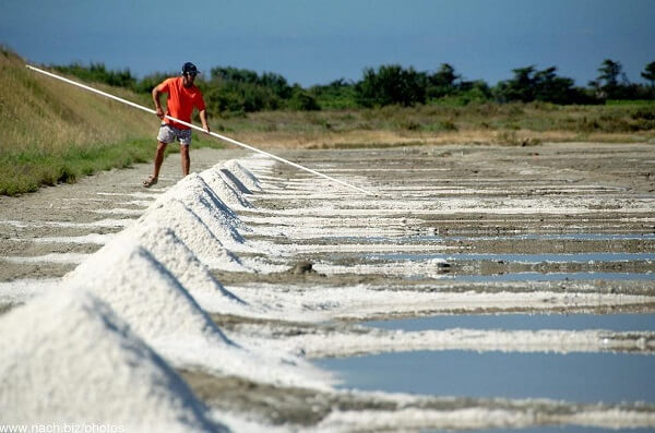 Келтска морска сол – с какво тя е по-различна от обикновената сол ...